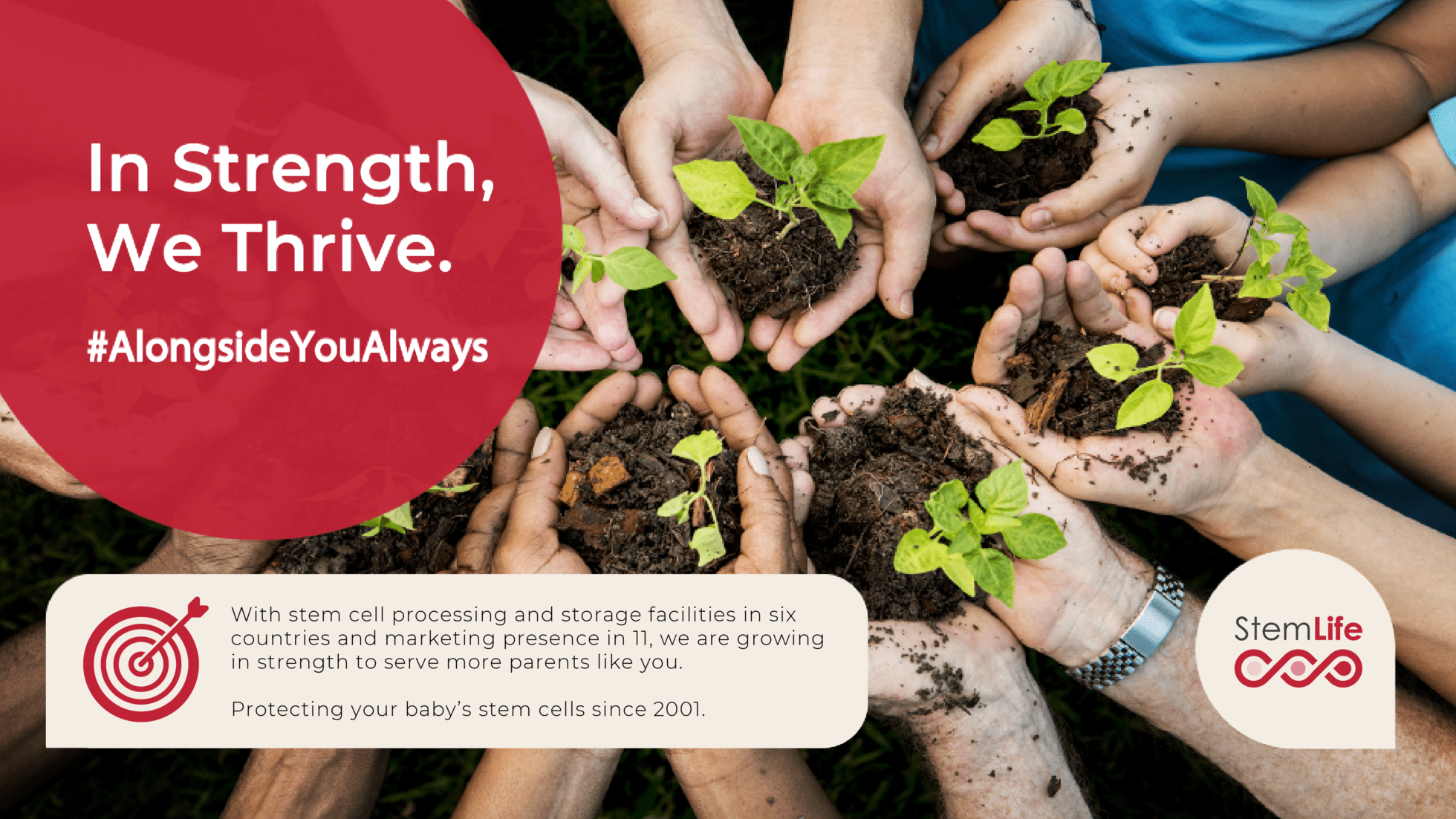 Official Letter and FAQs | StemLife